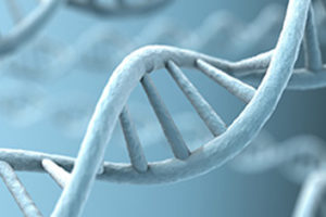 Knipper Rx - Knipper